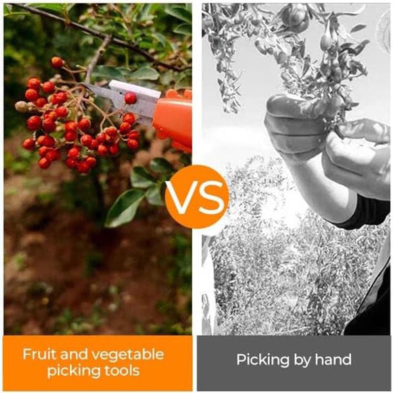 Pepper Gathering Tools | Multifunctional Grape Picking Tool - TikTok ...