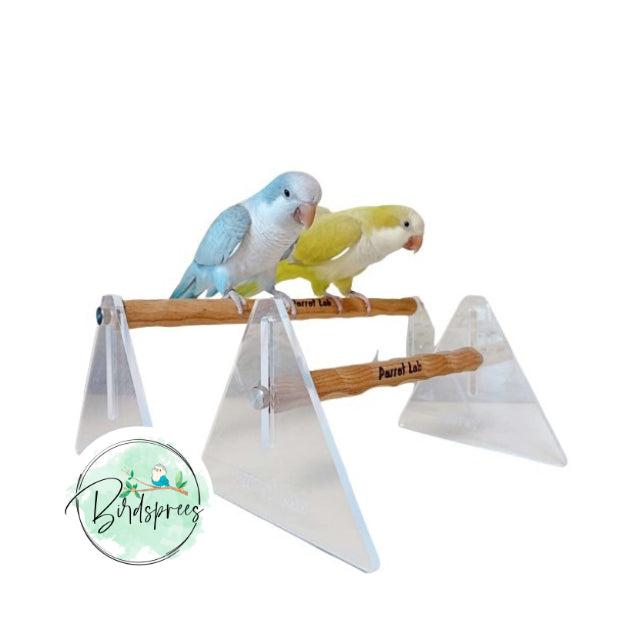 Parrot Lab Triangular Acrylic Table Perch - TikTok Shop Singapore