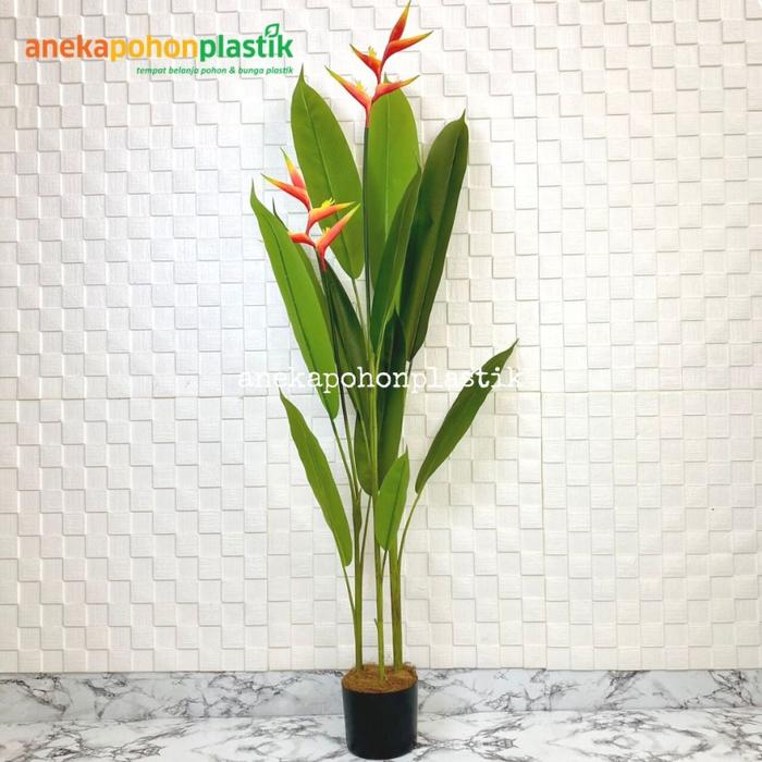 Jual Pohon Pisangan Heliconia Bunga Bird Of Paradise T145 Latex ...