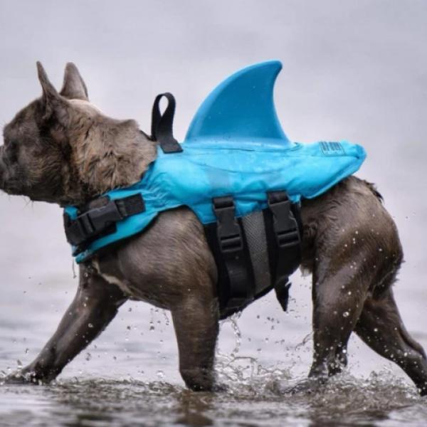 New Pet Shark Fin Life Jacket Dog Large Floating Adjustable French ...