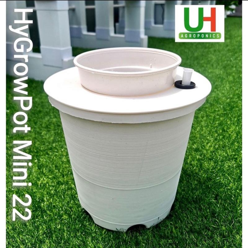 PASU MINI HYGROWPOT | TANAM CARA HIDROPONIK - TikTok Shop Malaysia