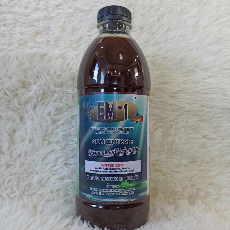 EM-1 (1LITTER) EFFECTIVE MICROORGANISMS /MICROBIAL INOCULANT - TikTok ...
