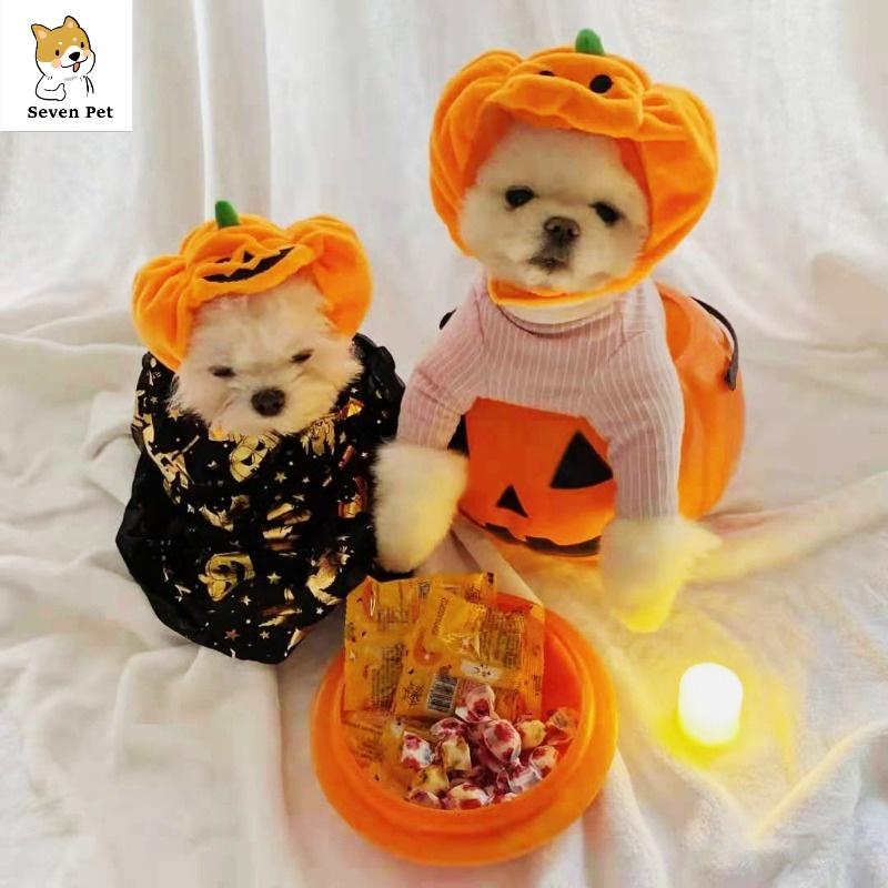 Topi Labu Anjing, Tema Tujuh Haiwan Peliharaan, Hiasan Halloween ...