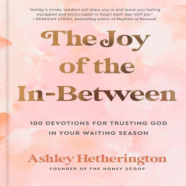 The Joy of the In-Between [Paperback] By: Ashley Hetherington - TikTok ...