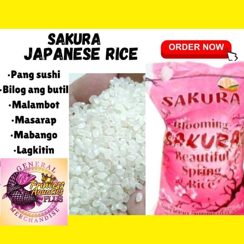JAPANESE RICE SAKURA For sushi and Authentic Japanese Dishes - TikTok ...