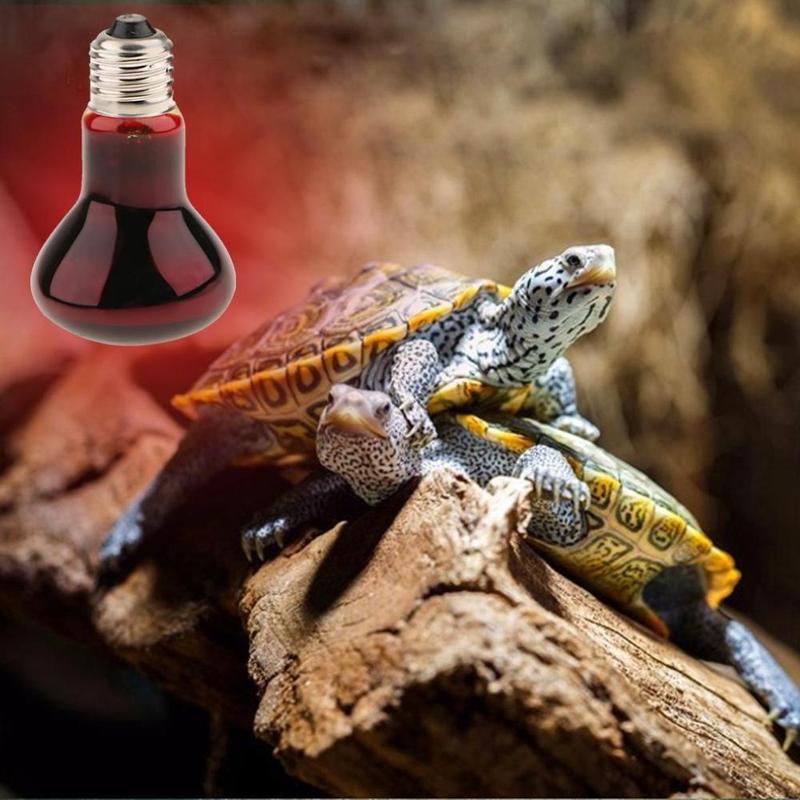 Reptile Infra Red Heat Bulb Lamp Basking Night Light E27 Base - TikTok ...