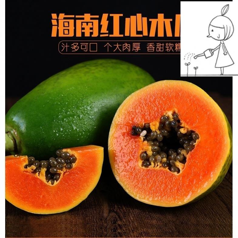 Rock Sugar Papaya High Yield Fruit Red Heart Milk Papaya Red - TikTok ...