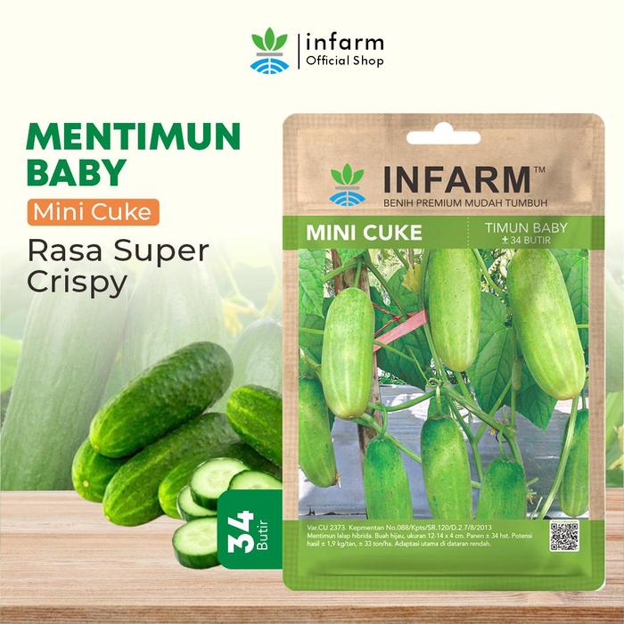 Promo INFARM - Benih Bibit Mentimum Premium Mini Cuke mentiumun Baby ...