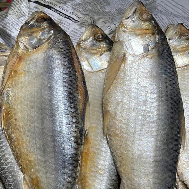 Ikan Terubuk Masin Mantul Dried Food - TikTok Shop Malaysia