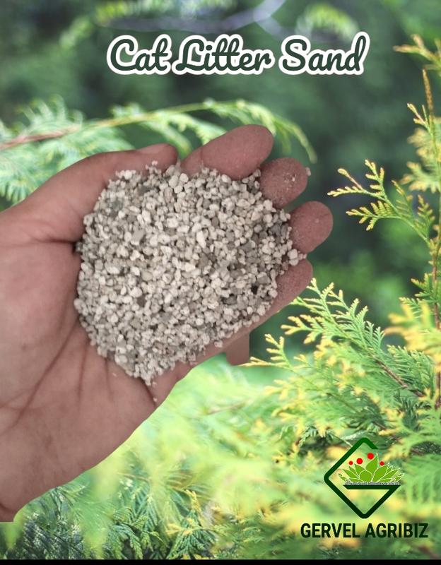 Cat liter sand, pumice sugar size sand for fur babies and green ...