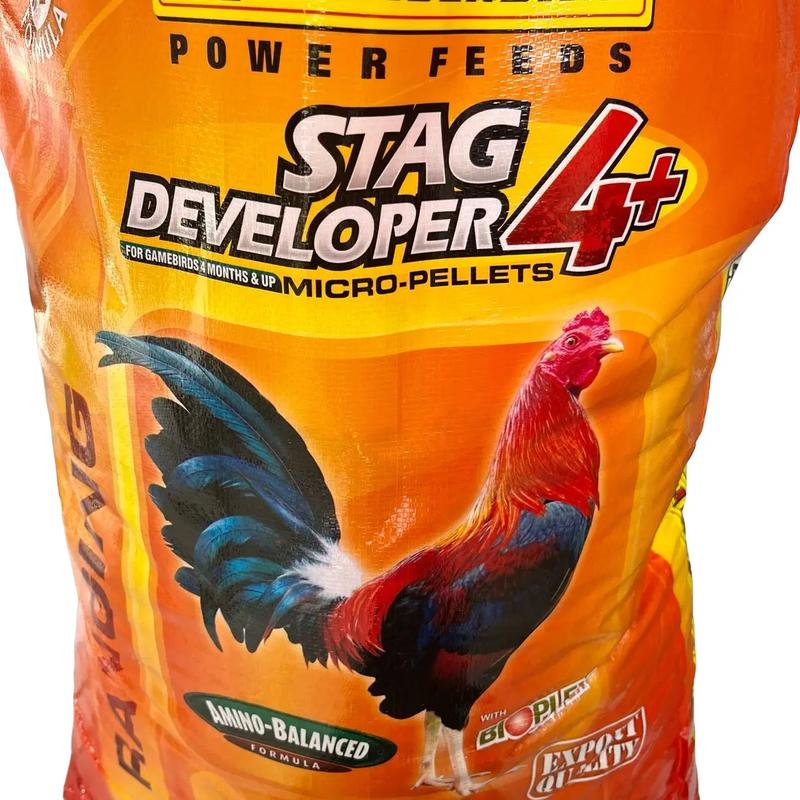 Thunderbird Stag Developer 4+ - TikTok Shop Philippines