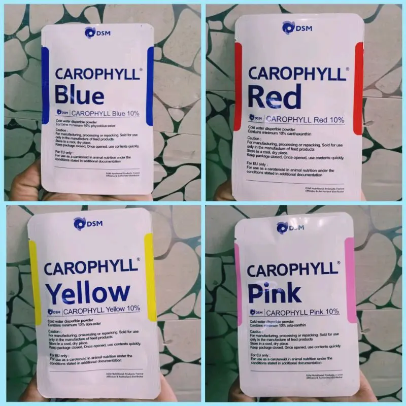 Carophyll france original blue red yellow pink / carophyl / pewarna ...