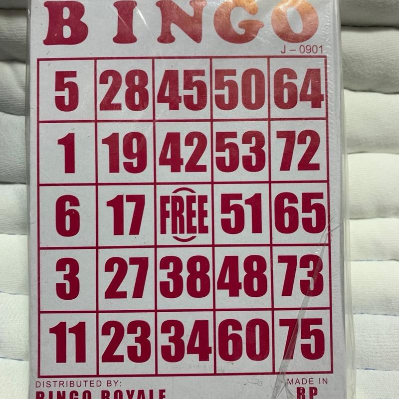 Big Bingo Card for Family Game Night - Giant Size - TikTok Shop Philippines
