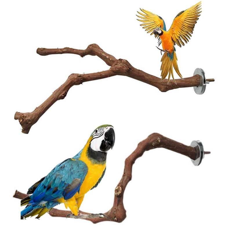 Parrot Claw Grinding atiel Parakeet Cage Accessories Bird Cage - TikTok ...