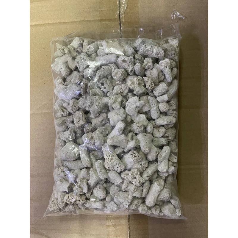Coral stone Aquarium aquascaping Filter Media Stone Grade A for ...