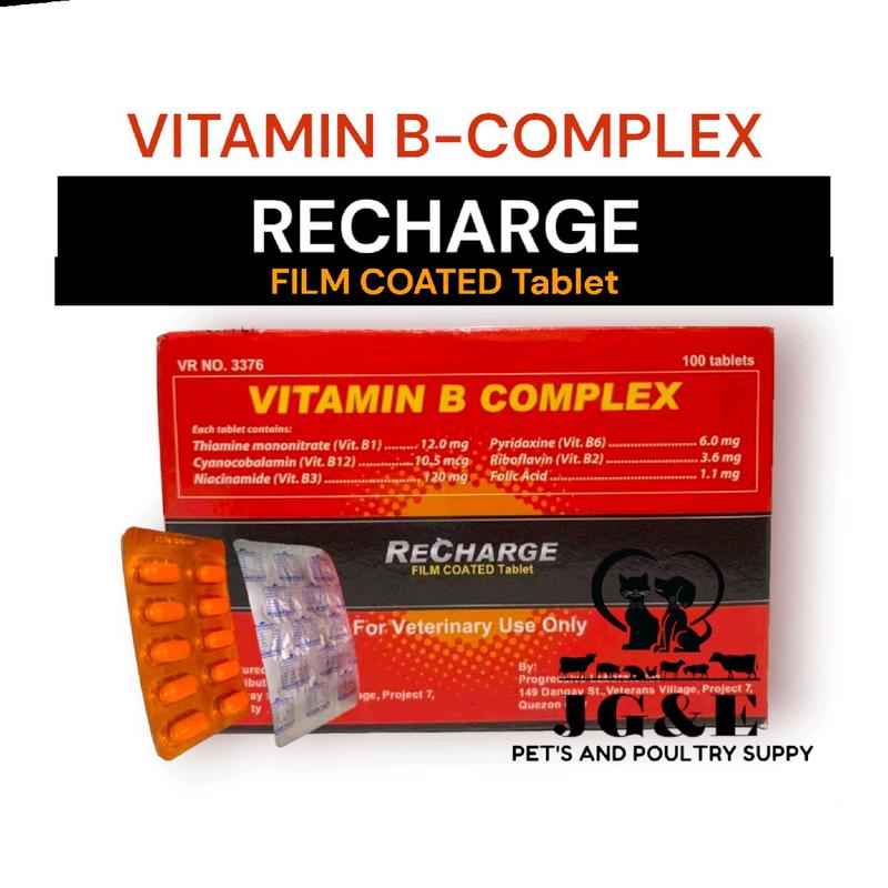 RECHARGE VITAMINS B-COMPLEX TABLET for GAMEFOWL and RACING PIGEON ...