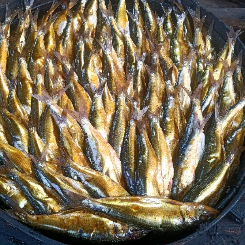 Smoked (Tinapa) Fish Vacuum Sealed Pack Organic Foods - TikTok Shop ...