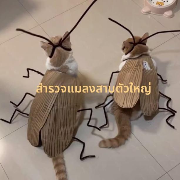 Funny new cat cockroach clothes Non-woven handmade DIY cute cat clothes ...