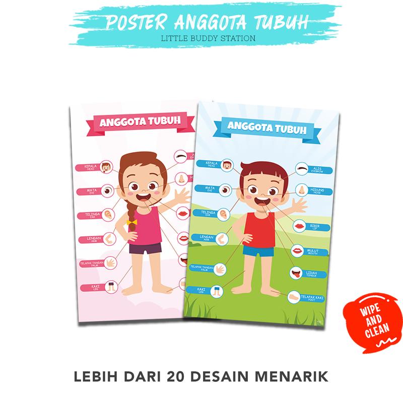 Poster Gambar Edukasi Belajar Anak PAUD TK Lengkap Anggota Tubuh - Shop ...