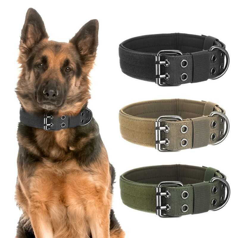 TTS Homie IMPRINT GRUBLE22LE4 Flashing Adjustable Large Dogs - TikTok ...