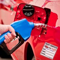 Promo 100Buah Kartu Stiker Ganti Oli Mobil/stiker label service Mobil ...