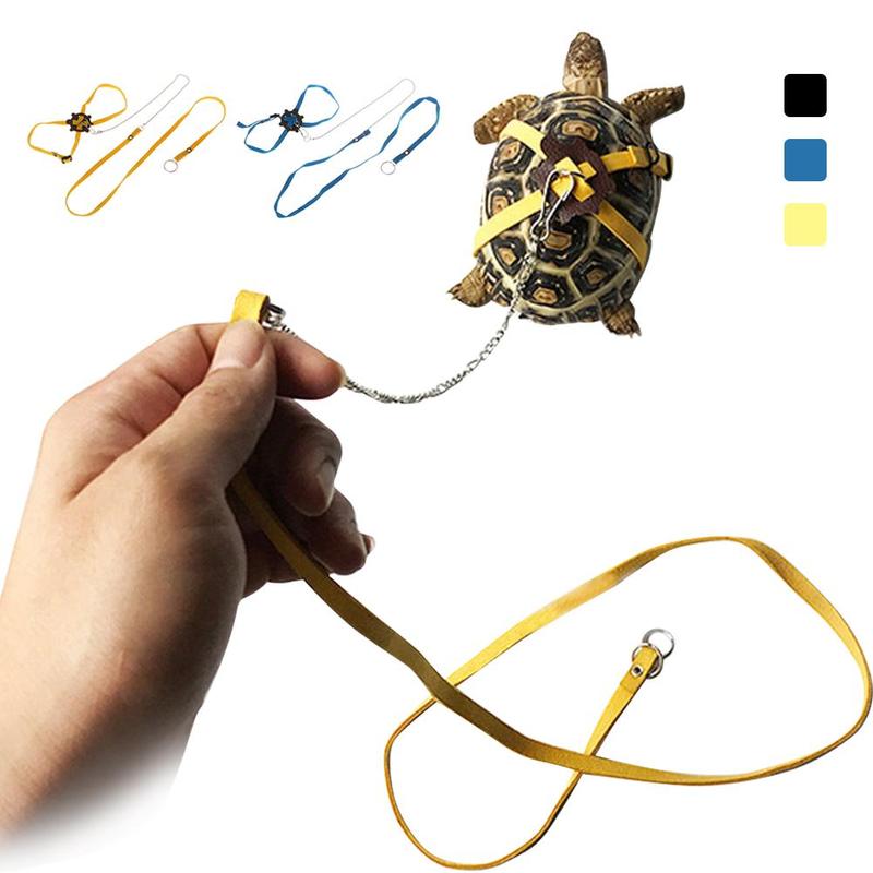 Pet Training Leash Soft Material Rope Harness Hamster Turtle - TikTok ...