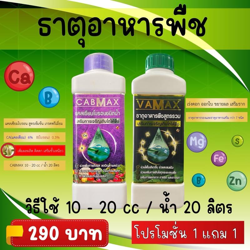 Vamax และ CABMAX ปุ๋ยน้ำ พ่นทางใบ แคลเซียมโบรอน และธาตุอาหารที่พืช ...