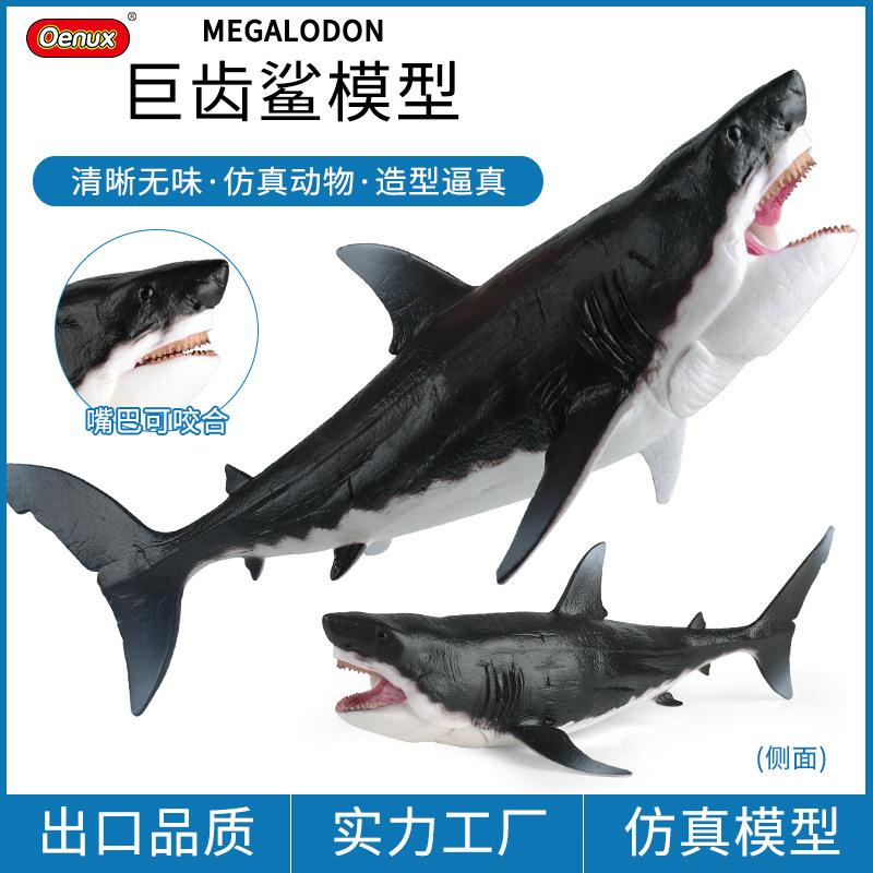 Simulation Cognition Marine Life Prehistoric Large Solid Megalodon ...