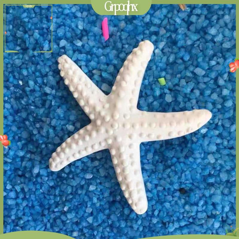 Grpoqhx- Artificial Starfish Bright Color Fine Workmanship Starfish ...
