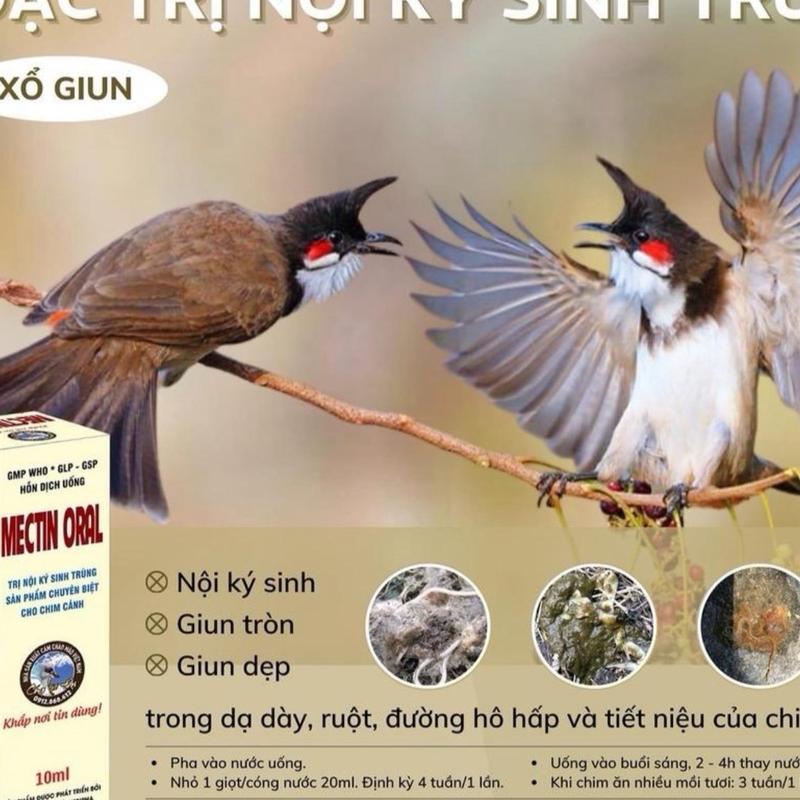 TẨY GIUN LÃO ĐẠI - Đặc Trị Ký Sinh Trùng - Mectin Oral - Thương ...