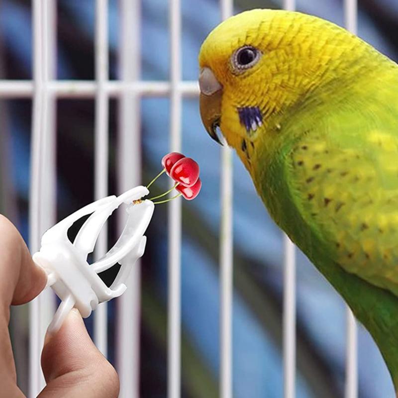 12Pcs Bird Feeding Holder Clip Parrot Feeding Accessories Fruit ...