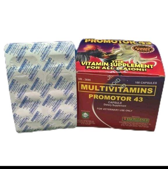 Excellence PROMOTOR 43 Multivitamins ( 10 Capsules) - TikTok Shop ...
