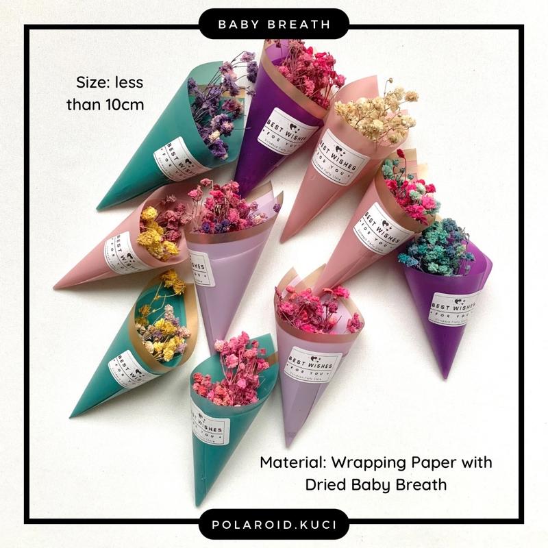 Baby Breath Mini Bouquet Peliharaan Bunga Tahan Lama Saiz 13cm - TikTok ...