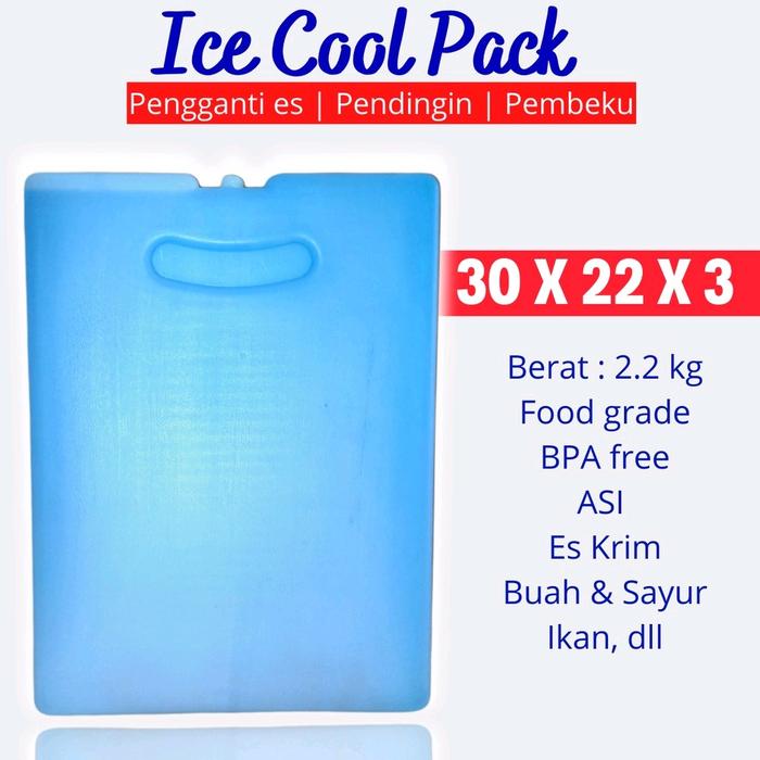 Jual Ice Pack Jumbo Besar 22x30x3cm Botol Kosong Grade A Kualitas ...