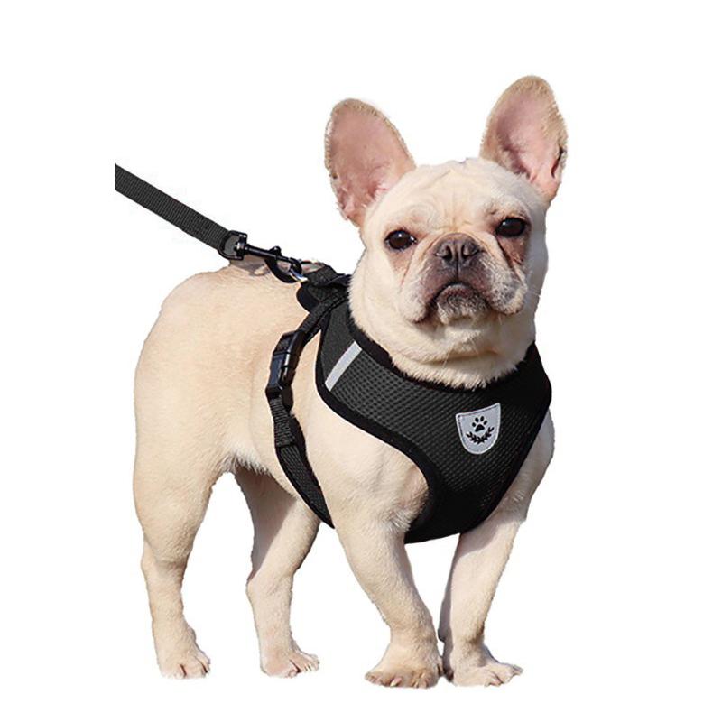Pet Cat Mining Dog Full Harness Adjustable Pet Mining Kit Pe - TikTok ...