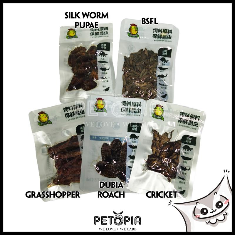 Vacuum Packed Feeder Insects | PETOPIA Sugar Glider Food - TikTok Shop ...