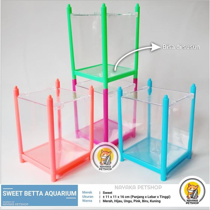Jual Sweet Betta Aquarium Cupang Kecil Mini Tank Soliter Aquascape Ikan ...