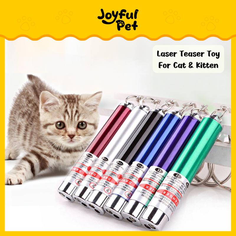 [2IN1] Mini Laser Pen Cat Toy | Cat Laser Pointer Pen LED Light ...