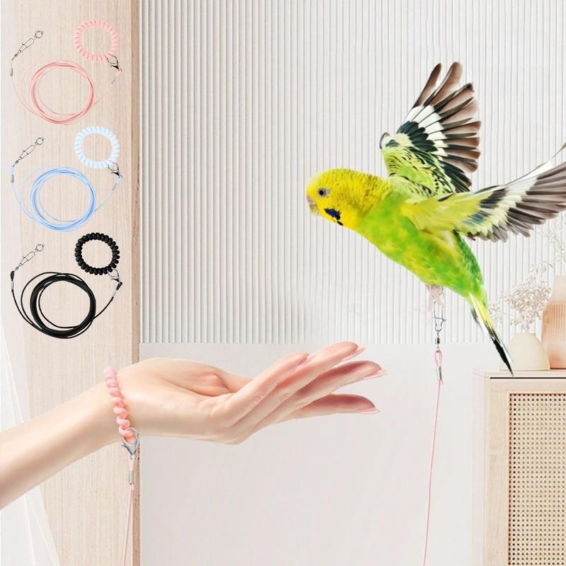 Durable Elastic Parrot Traction Rope Metal Buckle Multiple Size ...