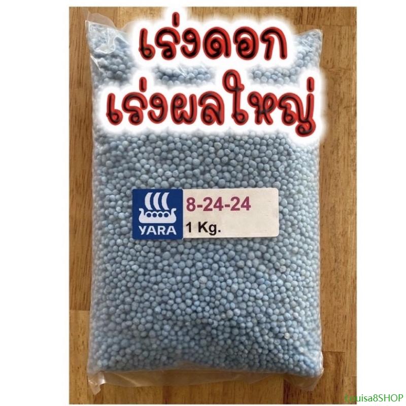 Louisa8SHOP ปุ๋ย 8-24-24 เร่งดอก เร่งผล บล็อกบัสเตอร์ - TikTok Shop ...