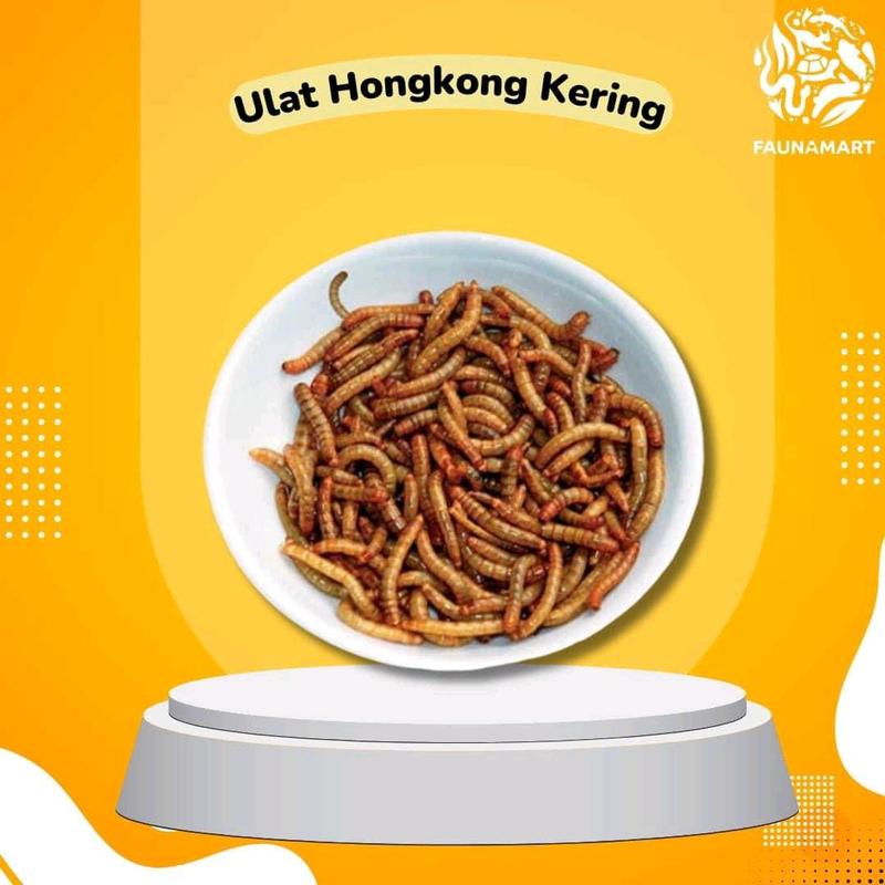 Ulat Hongkong Kering KING WORM - Fauna Mart - Shop | Tokopedia