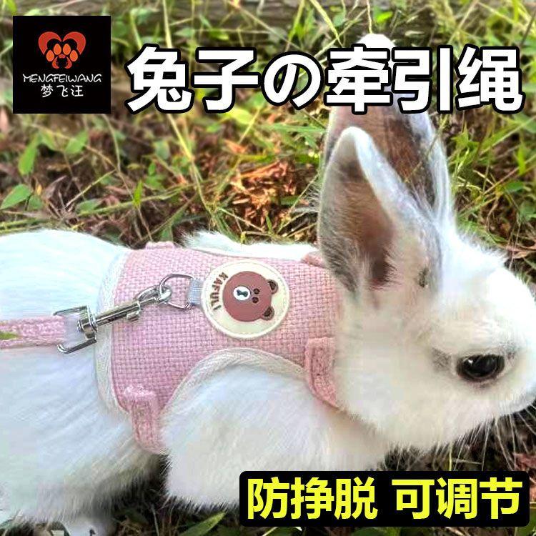 Rabbit Hand Holding Rope Anti Breaking Loose Rabbit Chain Rabbit ...