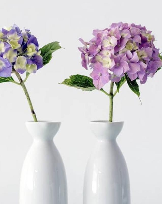 vas bunga warna putih polos lodi - Shop | Tokopedia