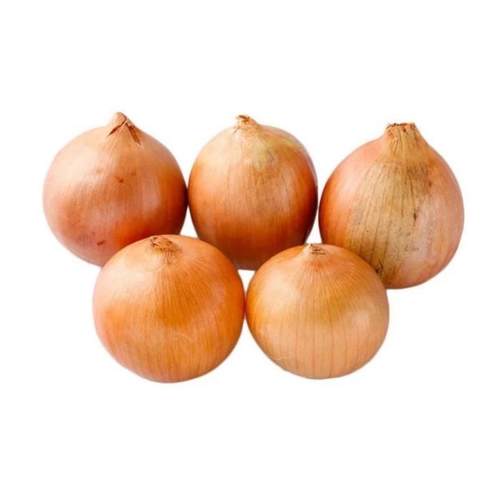 bawang bombay besar 1 kg super - Shop | Tokopedia