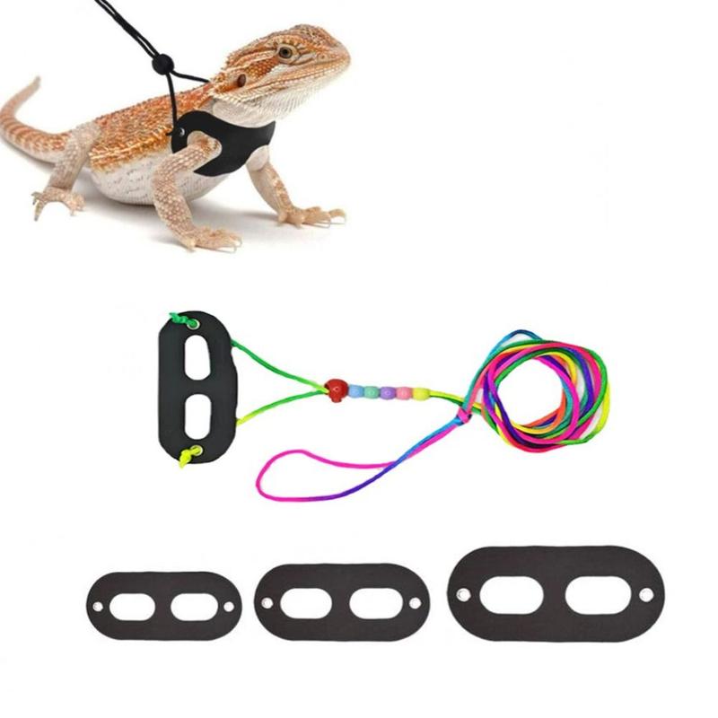 Durable Adjustable Lizard Traction Rope Soft 3 Sizes Reptile - TikTok ...