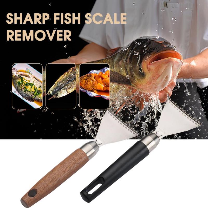 Stainless Steel Fish Scales Remover Open Fish Maw Fish Scraper - TikTok ...