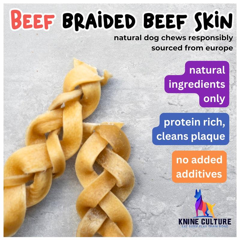 Natural Braided Beef Skin (15cm X2pc) - TikTok Shop Singapore