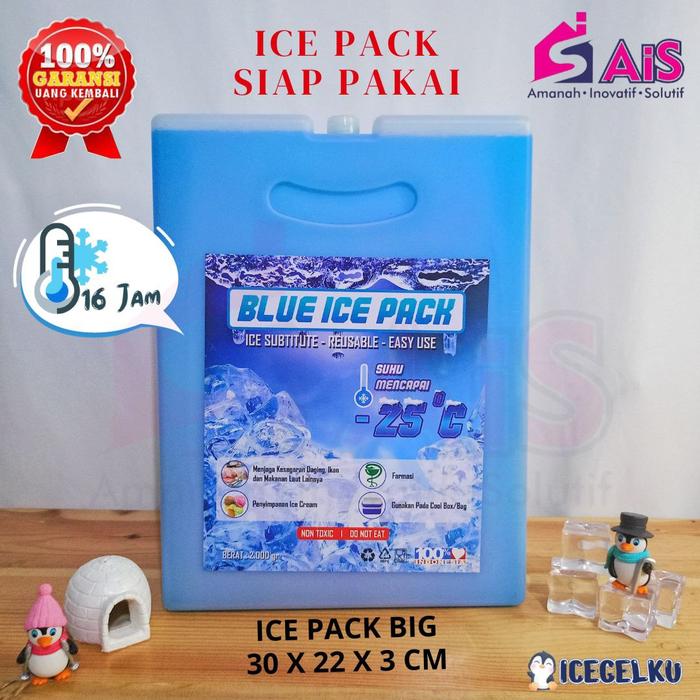 Jual ICE PACK BESAR 2KG 30x22x3cm ICEPACK PENGGANTI DRY ICE PENGGANTI ...