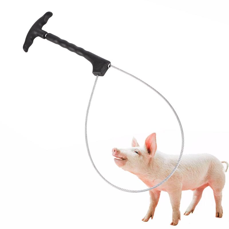 Steel Pig Holder Pig Squeezer Holder Livestock Snare Trap with - TikTok ...