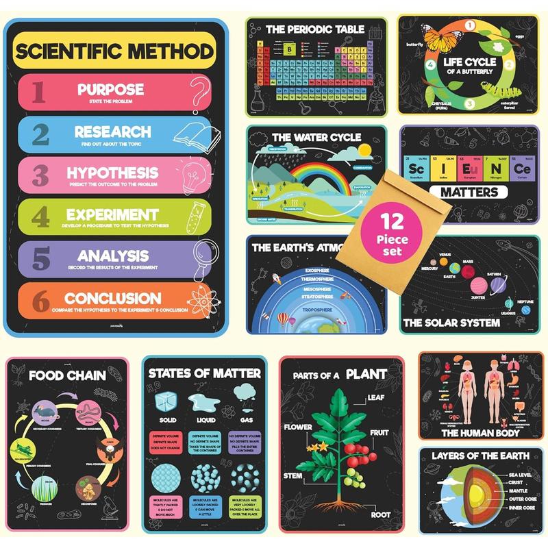 12 Science Posters for Classroom - 12 x 17 Inches Laminated, Middle and ...
